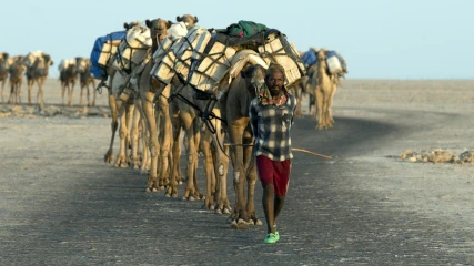 The Peoples of the World Foundation